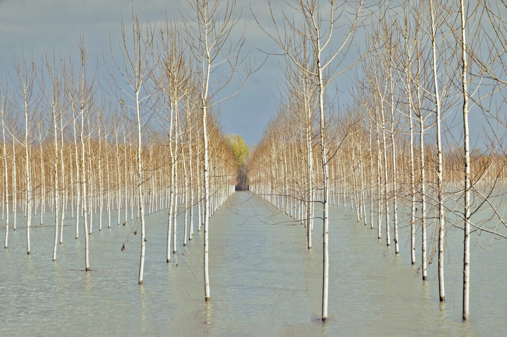 S 34-14 by Riccardo Varini - Contemporary photography | Artistics
